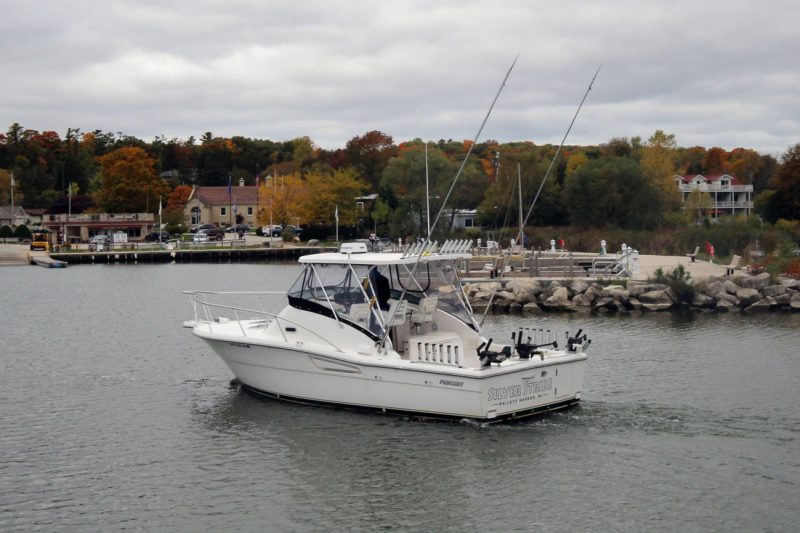 Salmon Fishing - Silver Strike Fishing